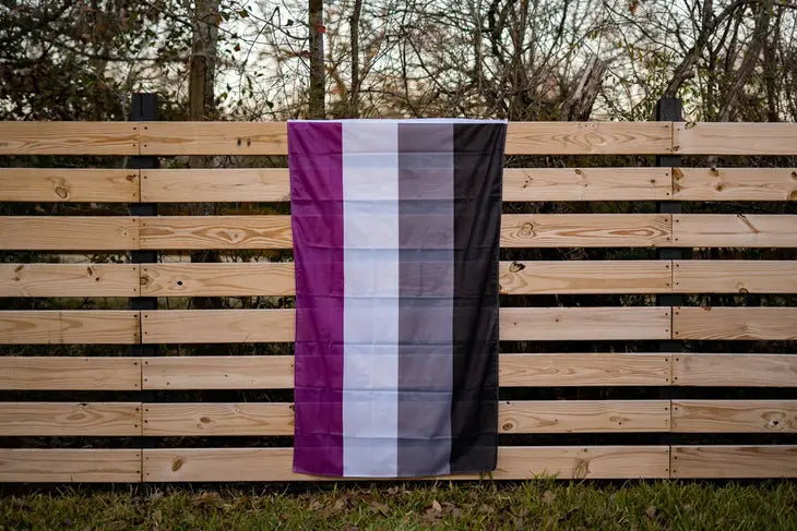 Asexual Ace Pride Flag Forager Vintage