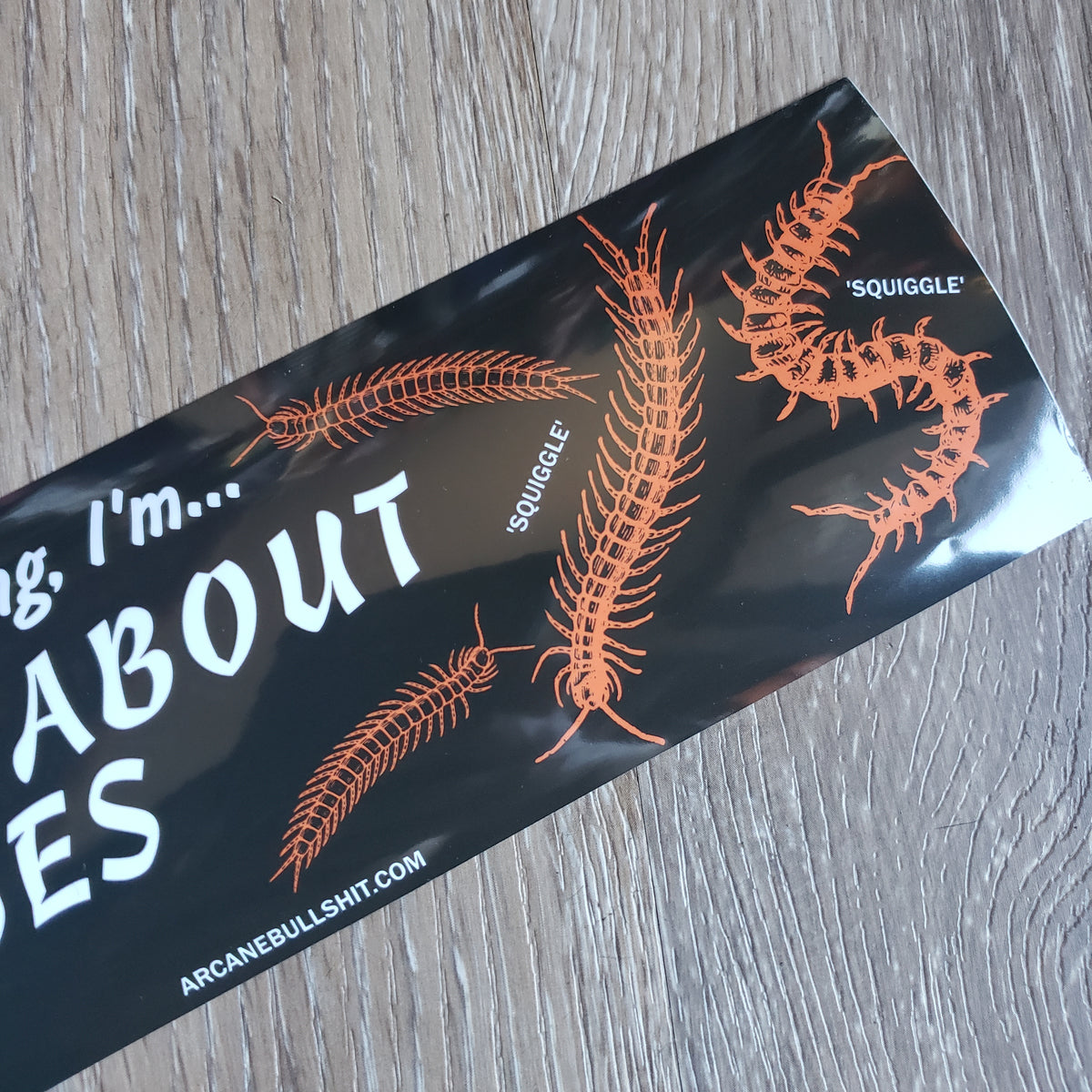 "Thinking About Centipedes" Bumper Sticker – Forager Vintage