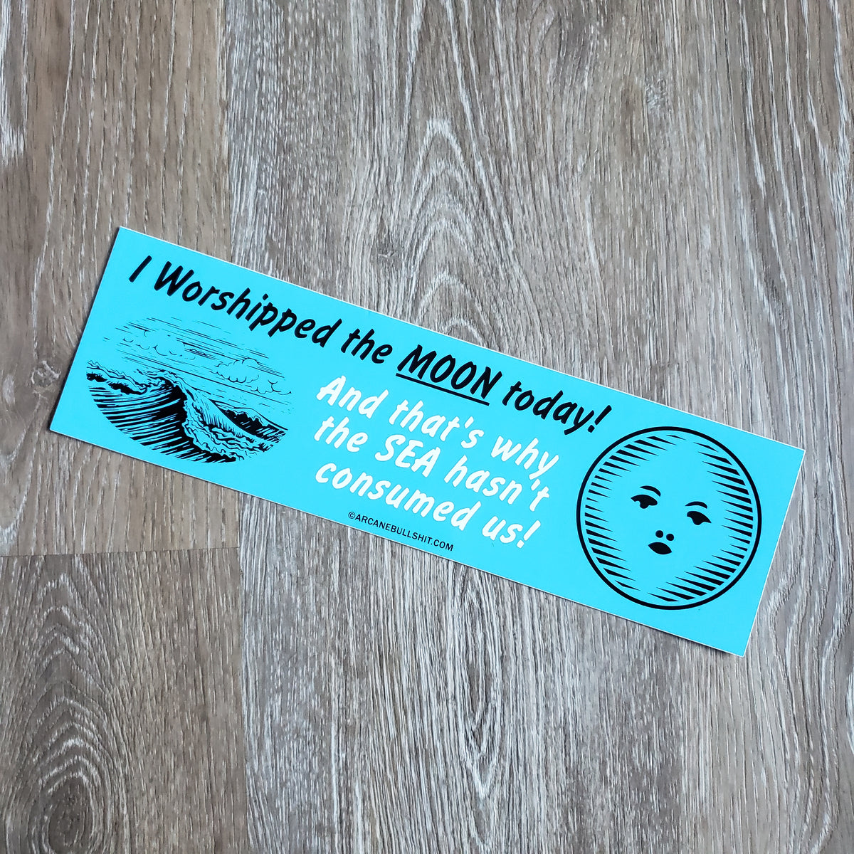 "Moon Worshipper" Bumper Sticker – Forager Vintage