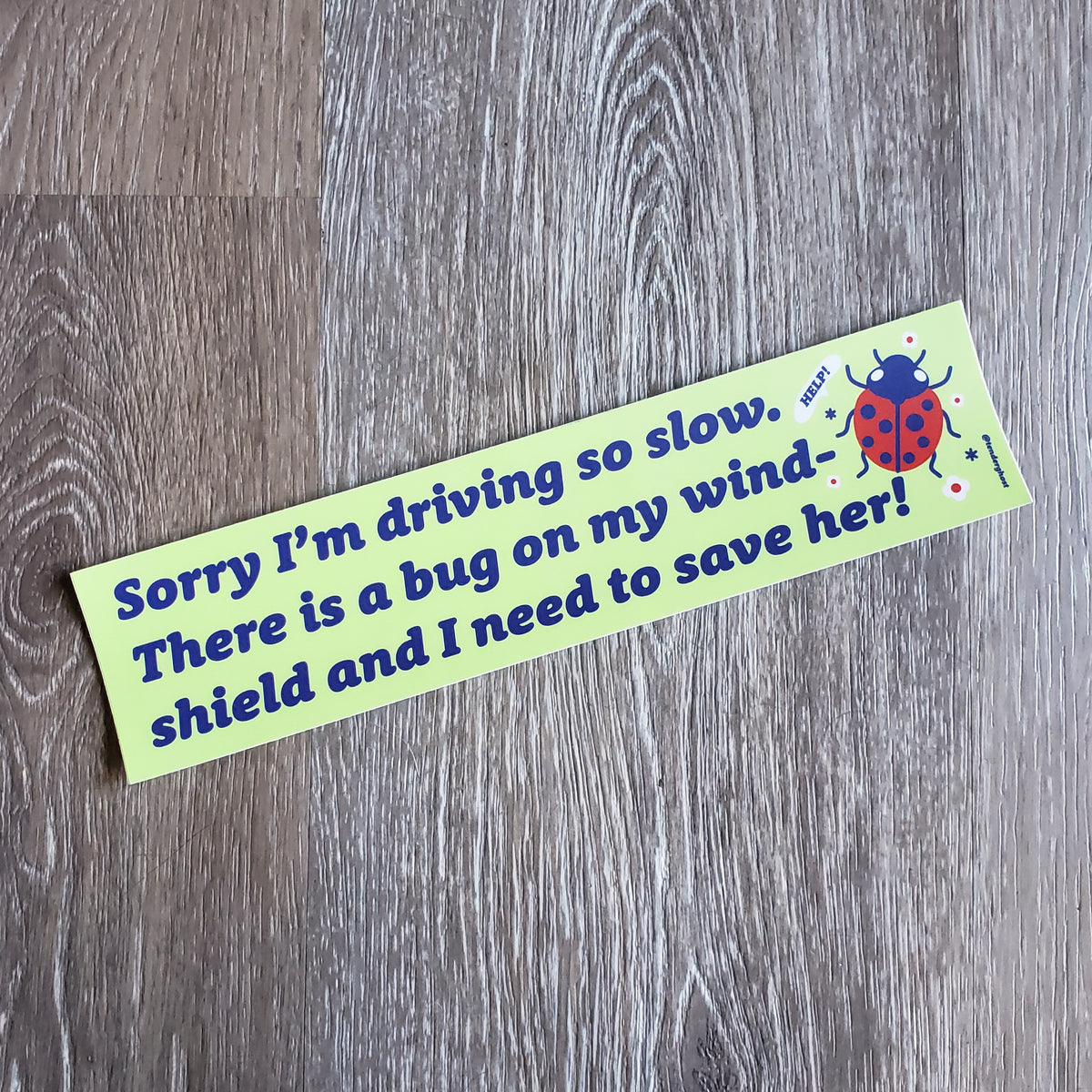 "Bug On My Windshield" Bumper Sticker – Forager Vintage