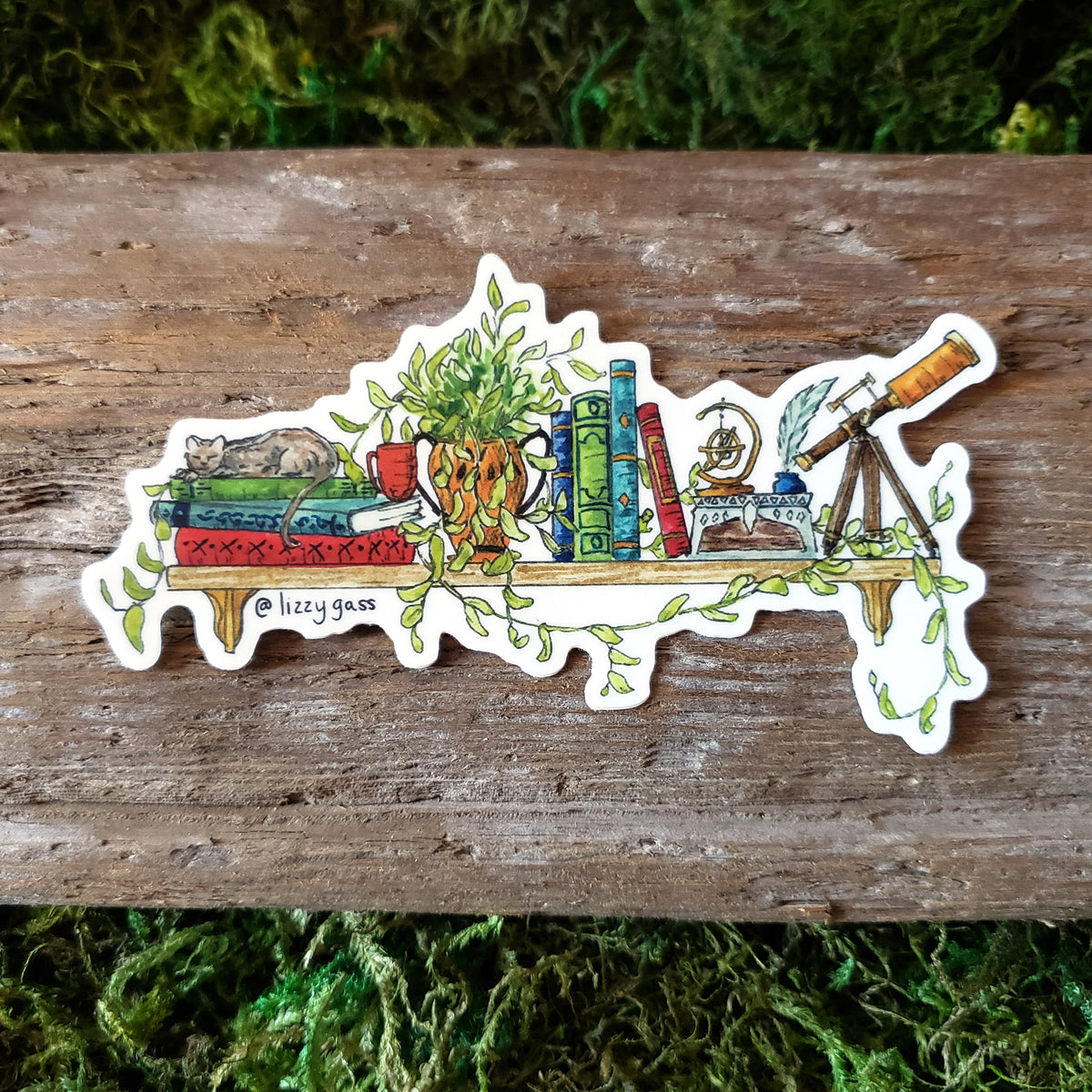 The Astronomer's Shelf Vinyl Sticker – Forager Vintage