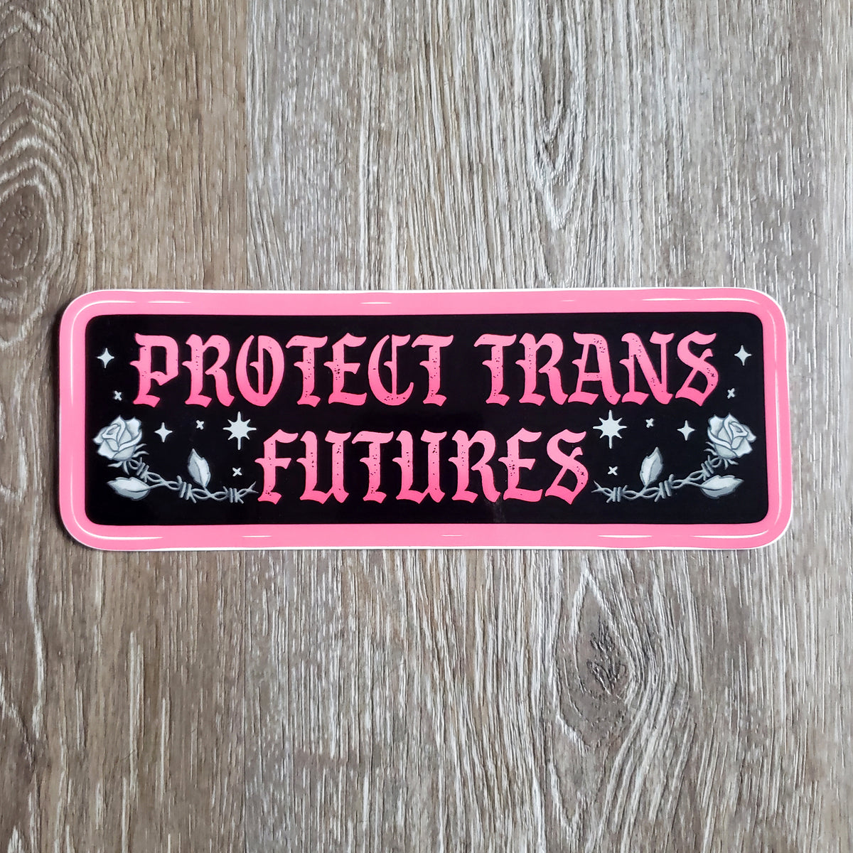 "Protect Trans Futures" Bumper Sticker – Forager Vintage