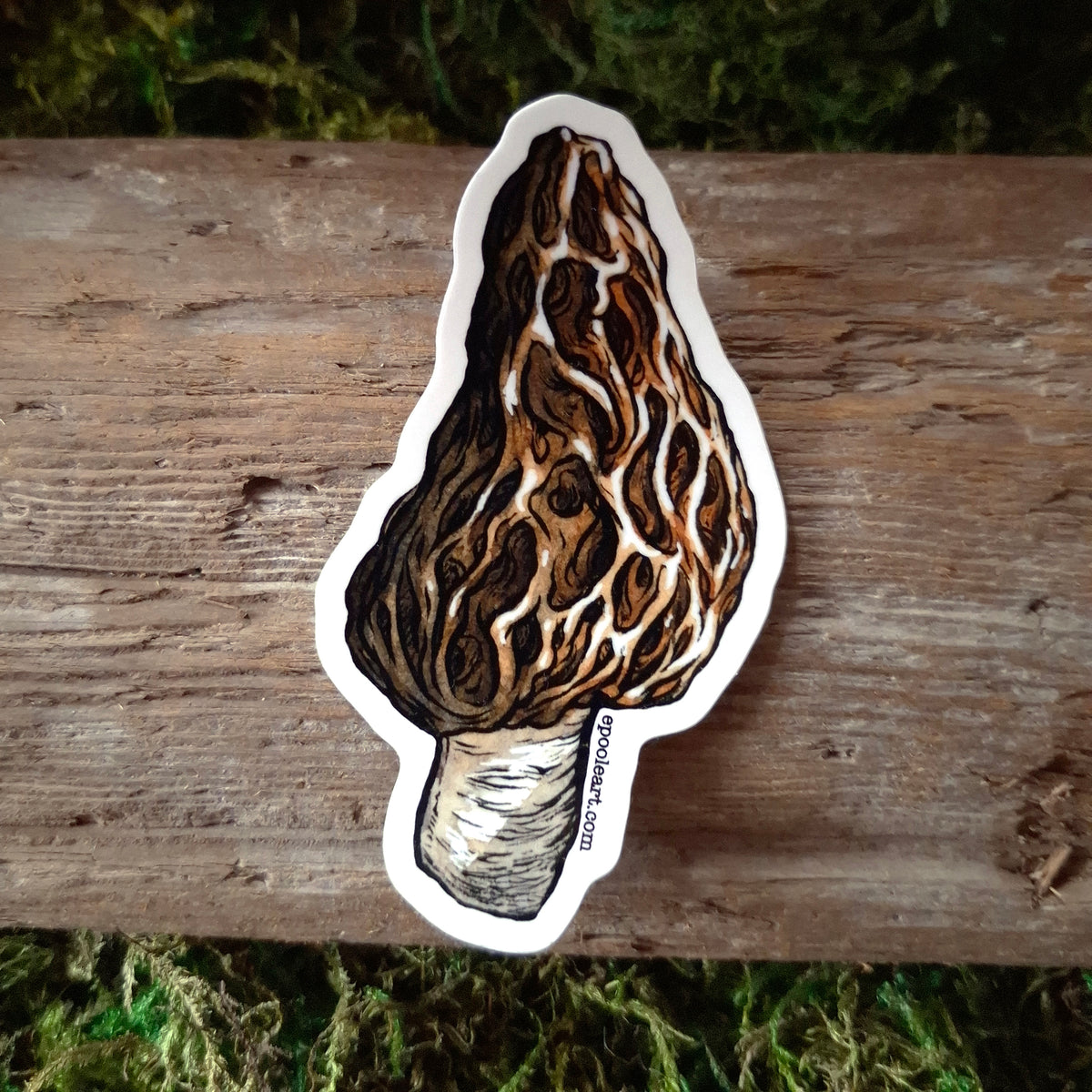 Morel Mushroom Vinyl Sticker – Forager Vintage