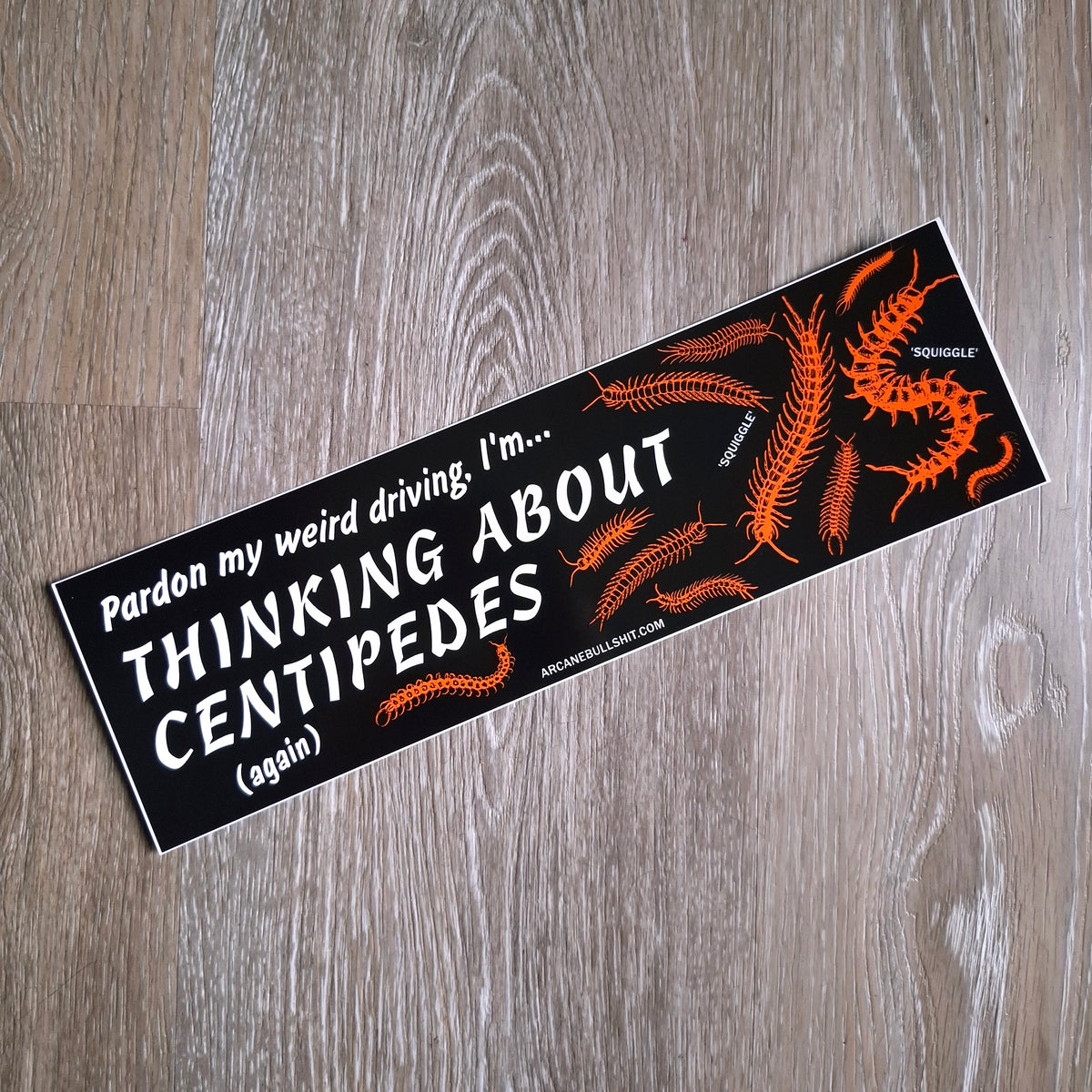 "Thinking About Centipedes" Bumper Sticker – Forager Vintage