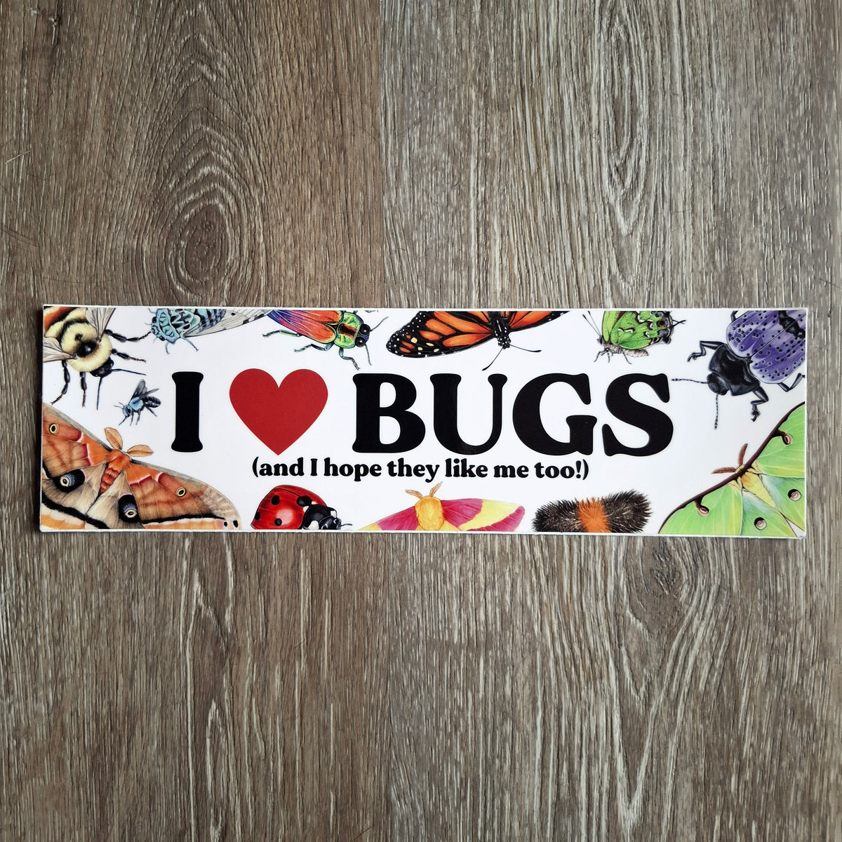 “I ️ Bugs” Bumper Sticker – Forager Vintage