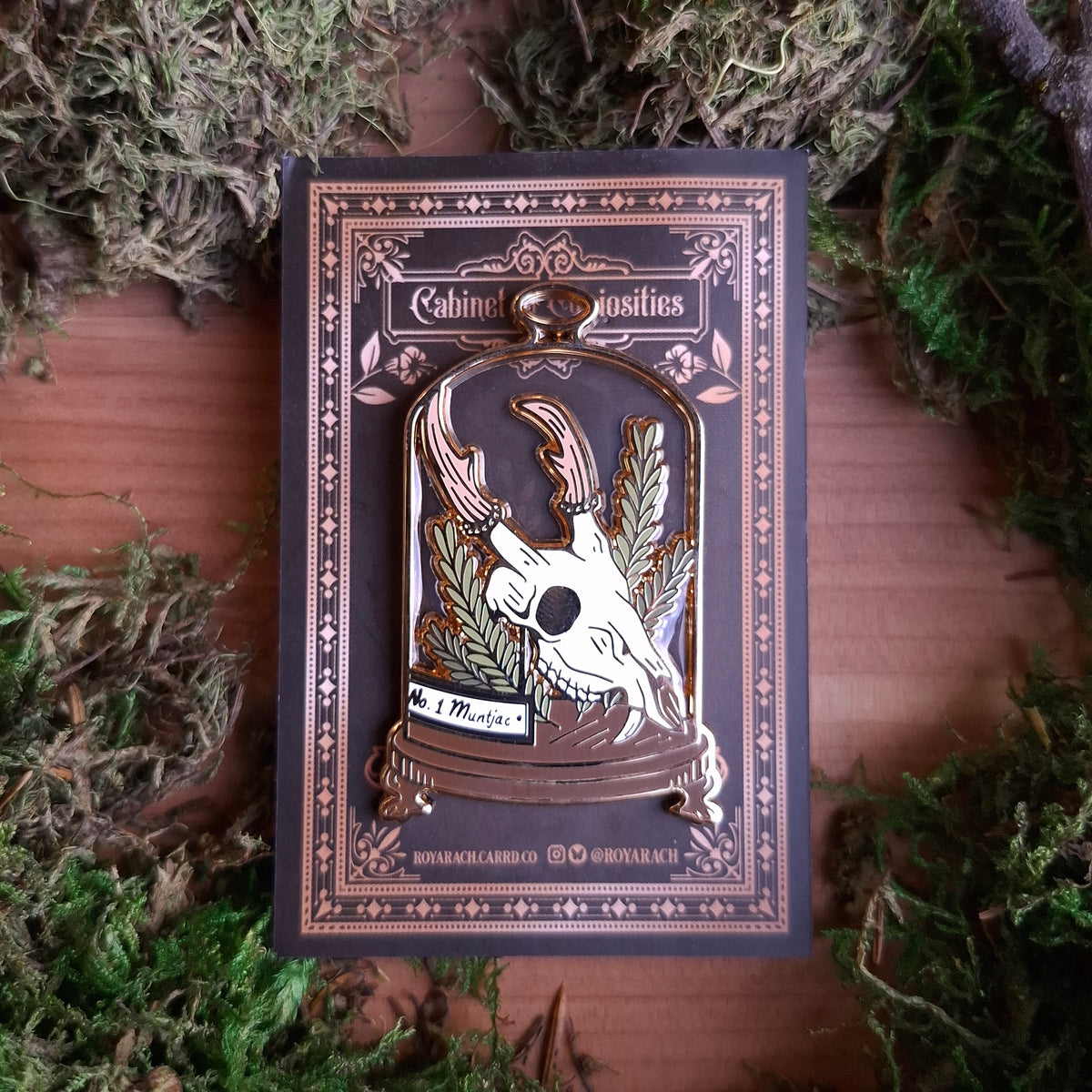 Muntjac Skull Curio Enamel Pin – Forager Vintage
