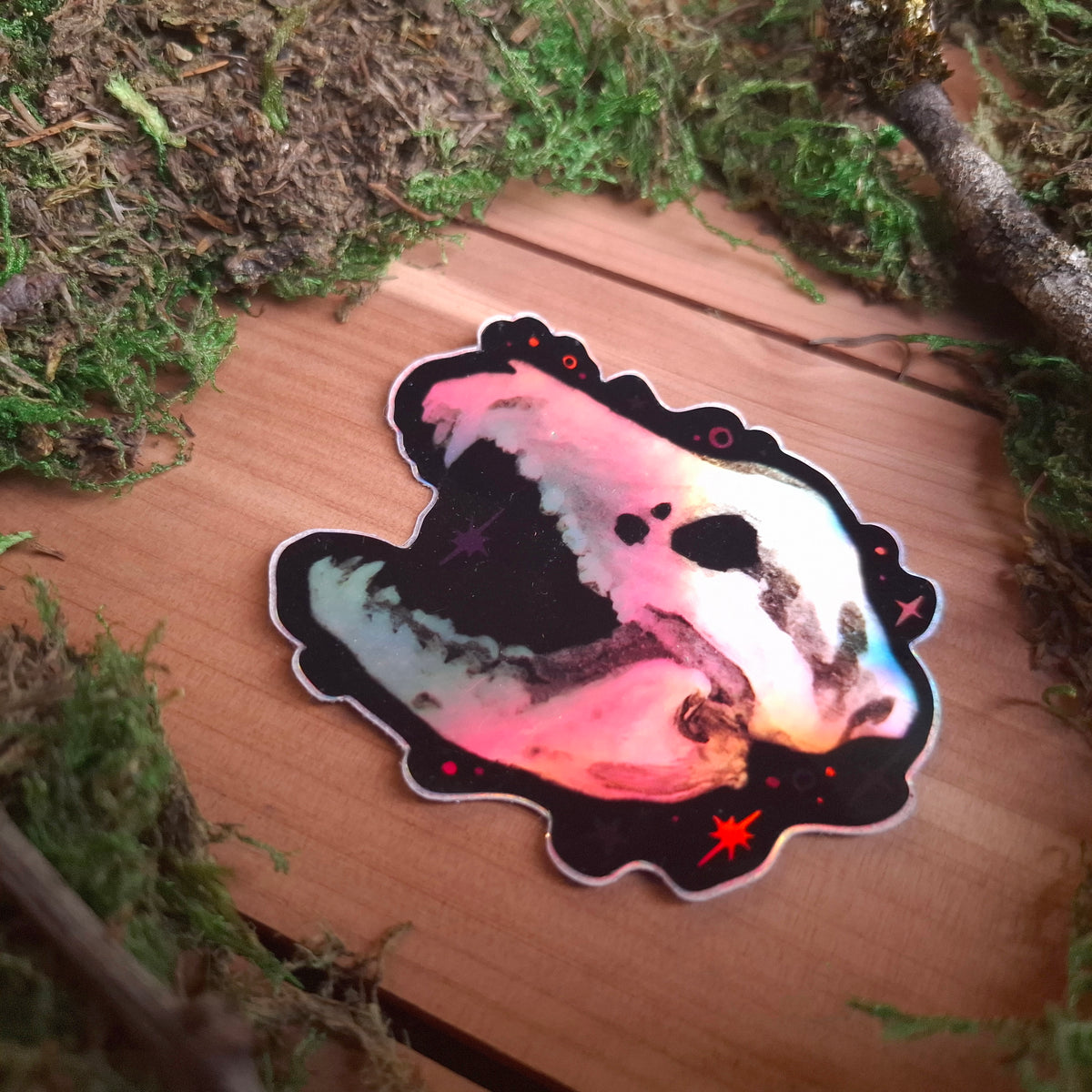 Thylacine Skull Vinyl Sticker – Forager Vintage