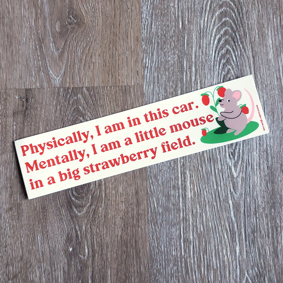 "Strawberry Mouse" Bumper Sticker – Forager Vintage