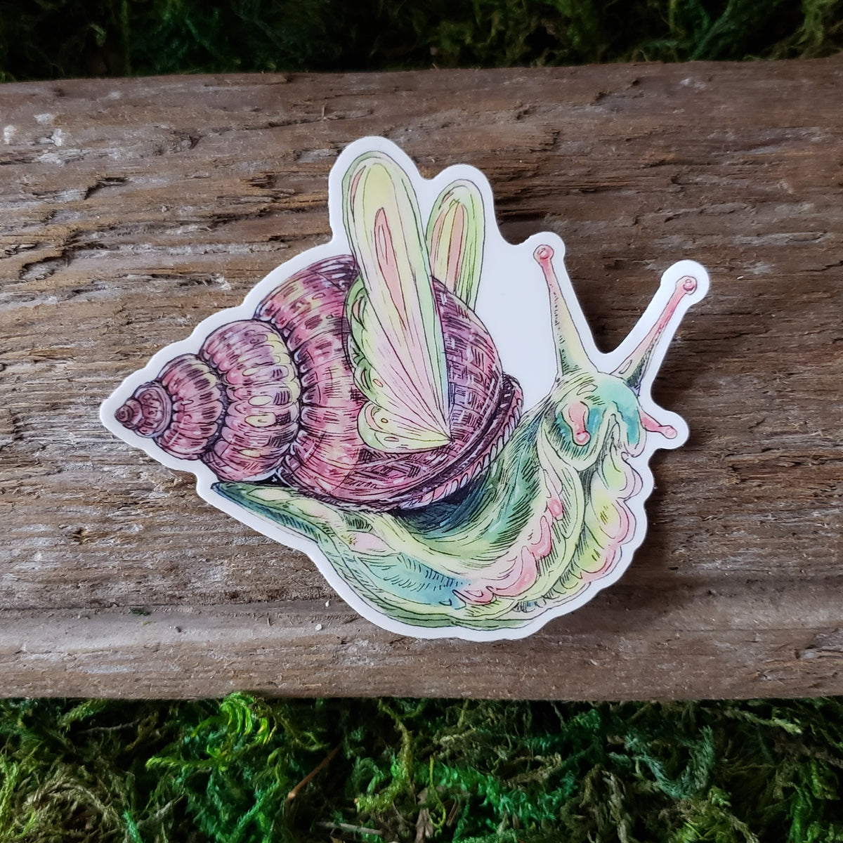 Fairy Snail Vinyl Sticker – Forager Vintage