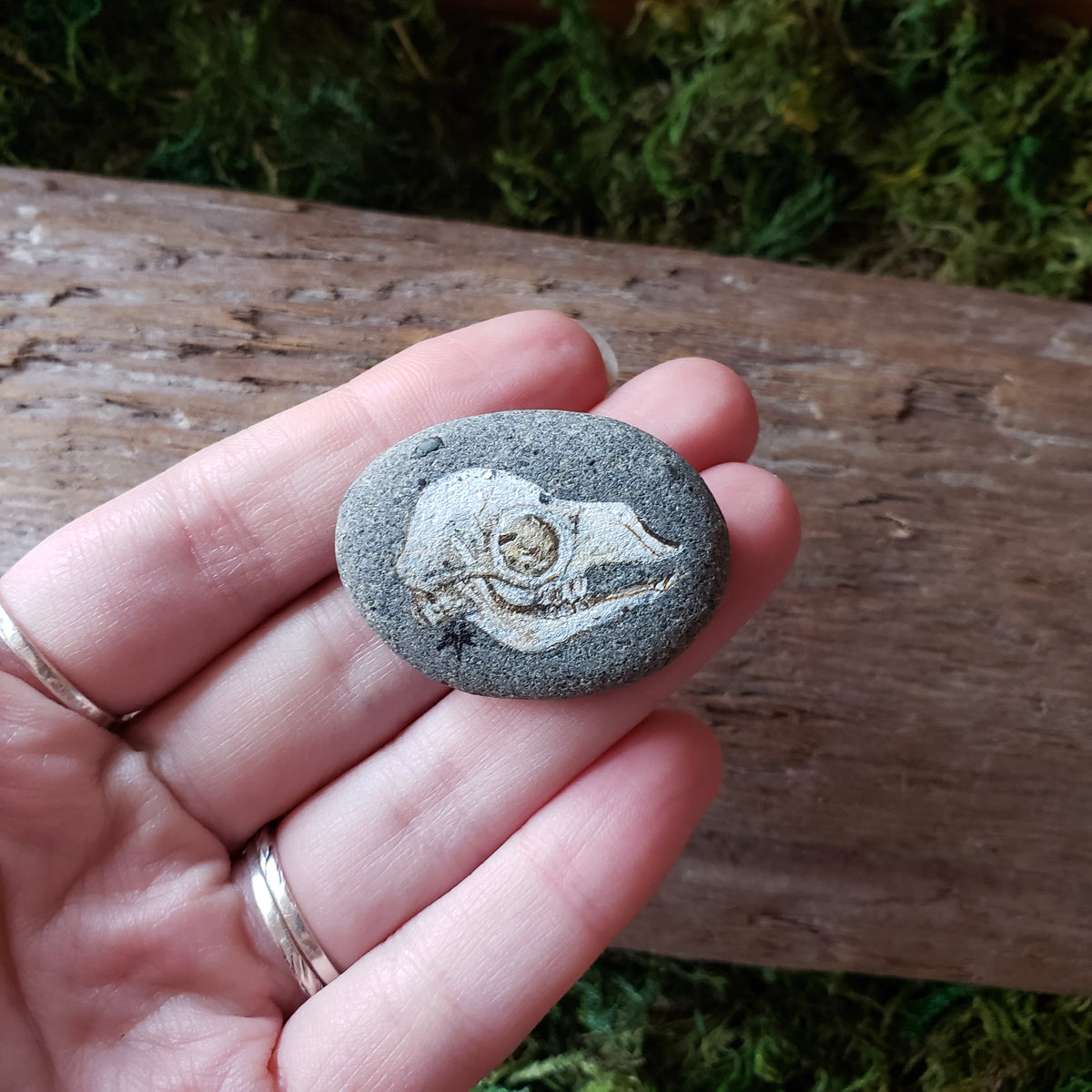 Tiny Skull Painted River Stone – Forager Vintage